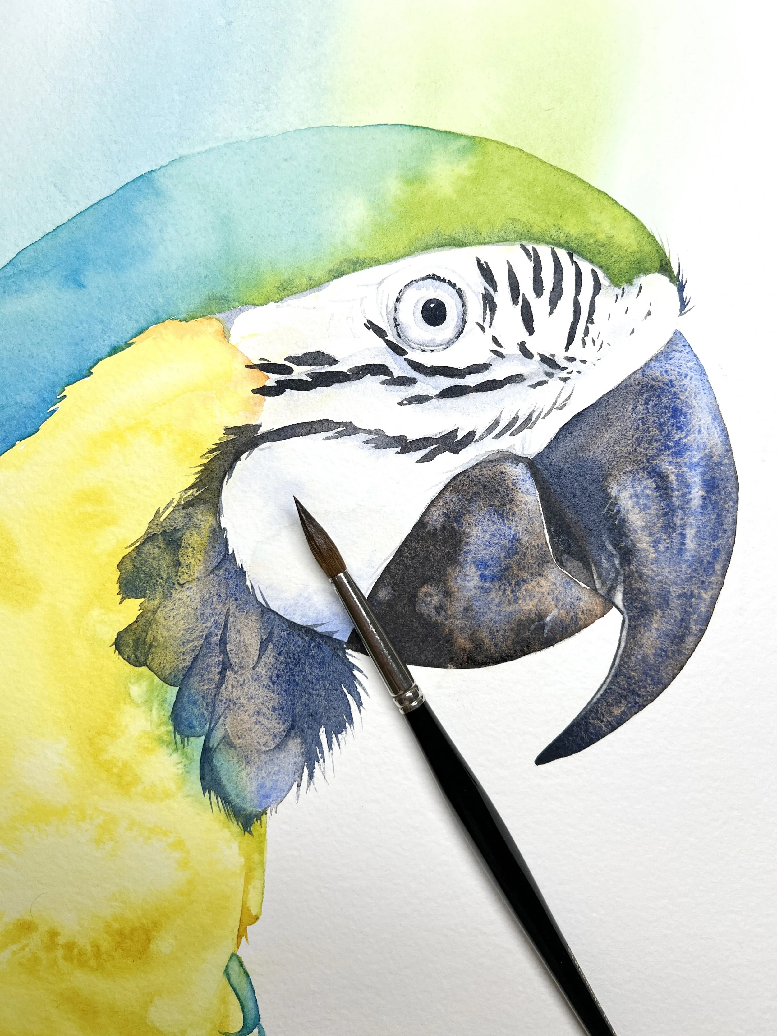 The Ultimate Guide to Choosing Watercolor Brushes: An Artist's ...