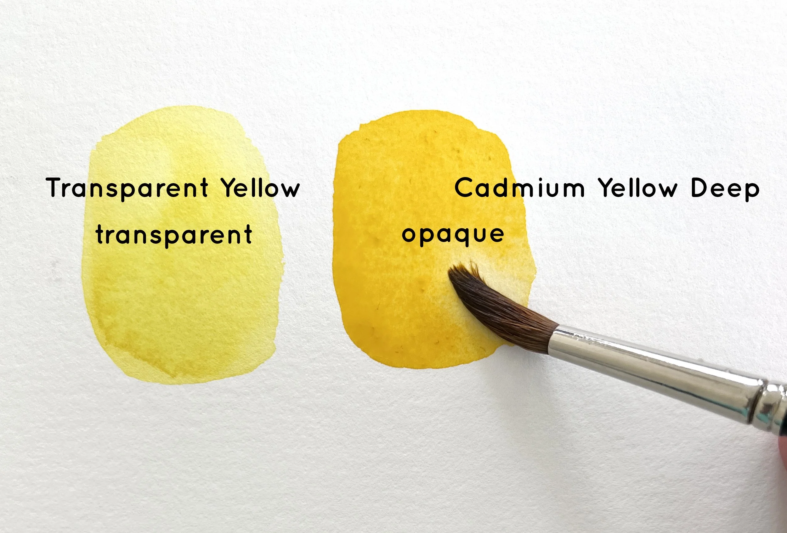 Watercolour Transparency and Opacity — Louise De Masi Watercolour Artist