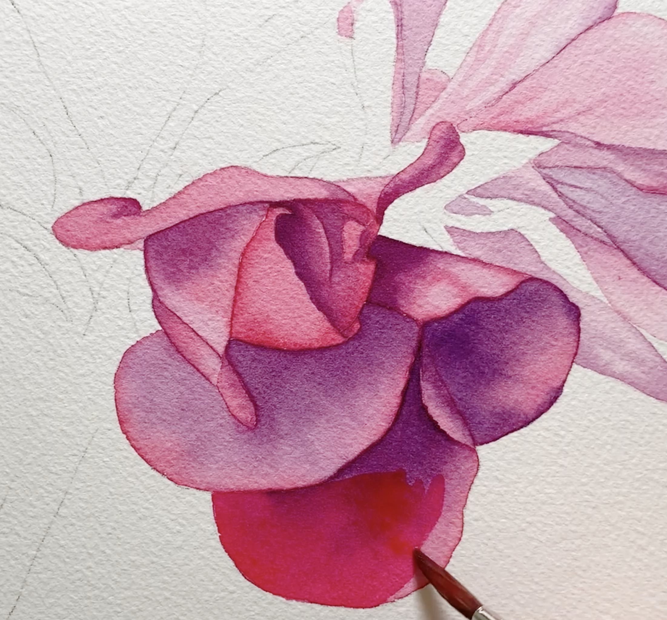 Watercolour Transparency and Opacity — Louise De Masi Watercolour Artist