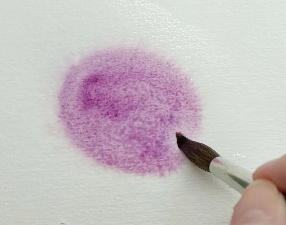 How to Paint Hard and Soft Edges in Watercolour — Louise De Masi ...
