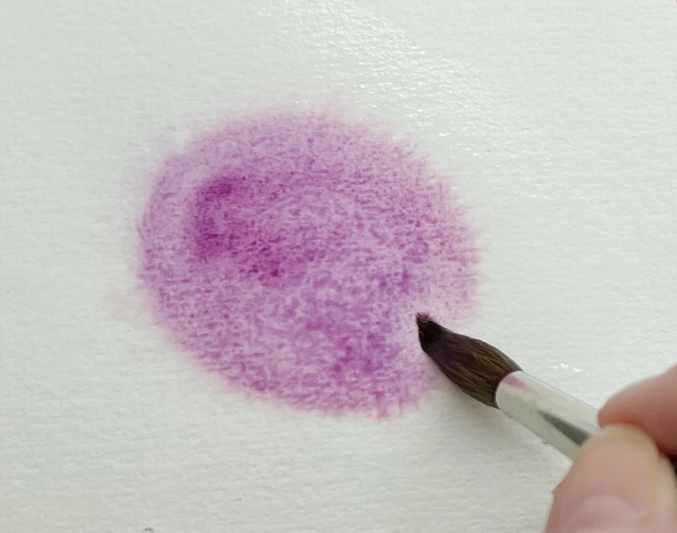 How to Paint Hard and Soft Edges in Watercolour — Louise De Masi ...