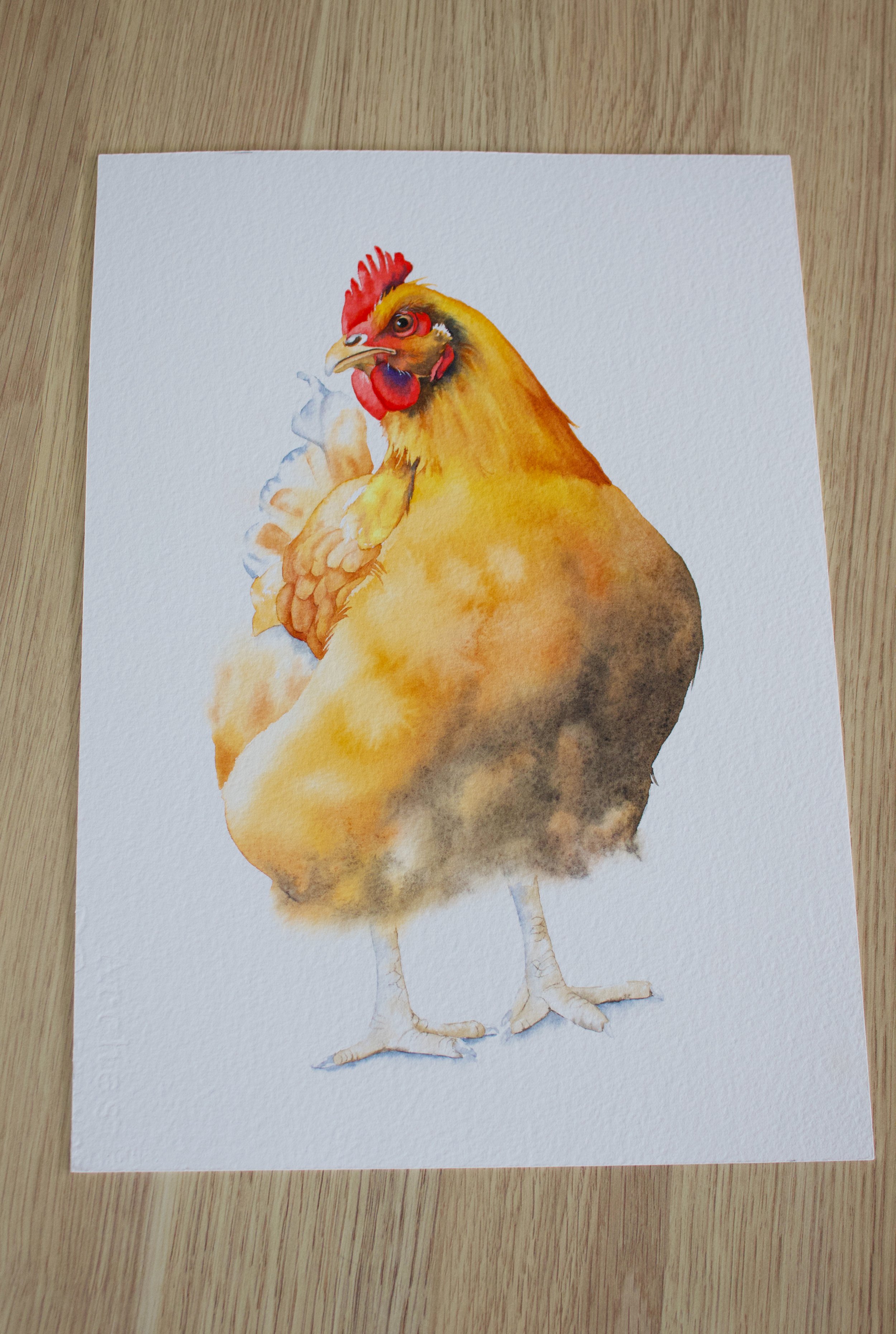 How to Create or Avoid Watercolour Blooms — Louise De Masi Watercolour ...