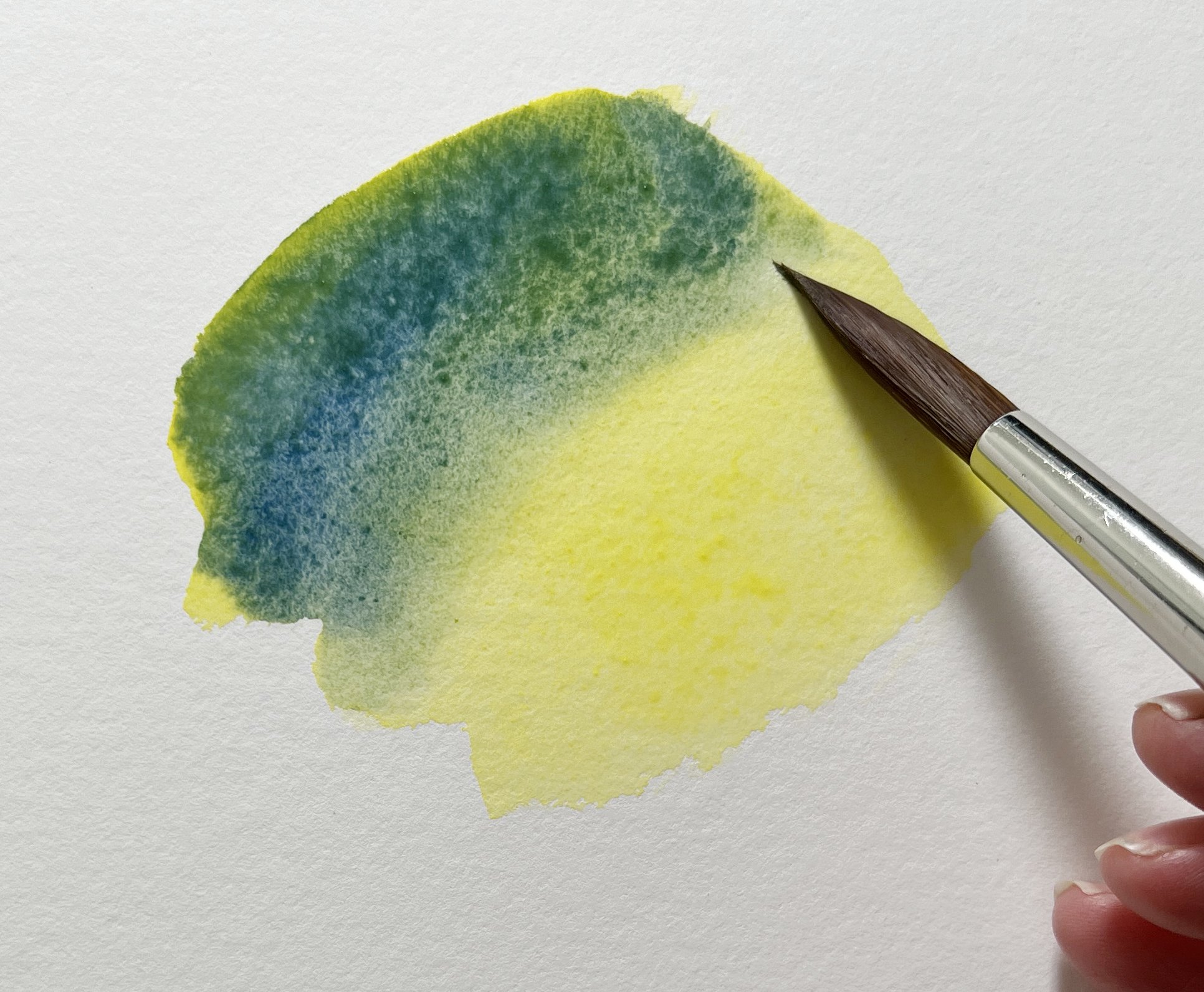 How to Blend Watercolour Paint — Louise De Masi Watercolour Artist
