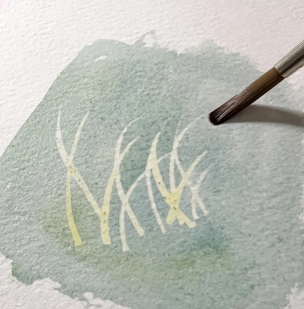 Top Tips for Using Masking Fluid — Louise De Masi Watercolour Artist