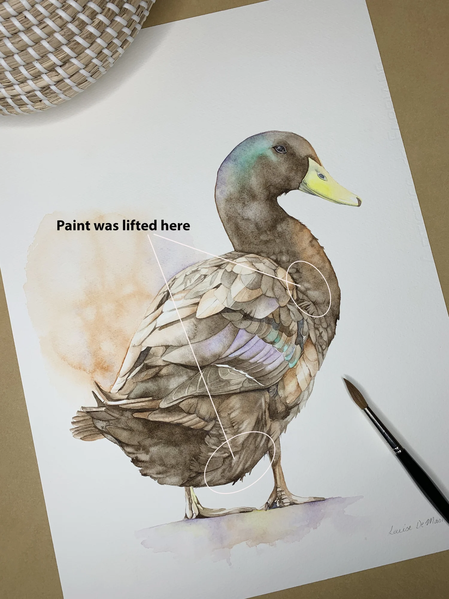 Lifting Techniques in Watercolour — Louise De Masi Watercolour Artist