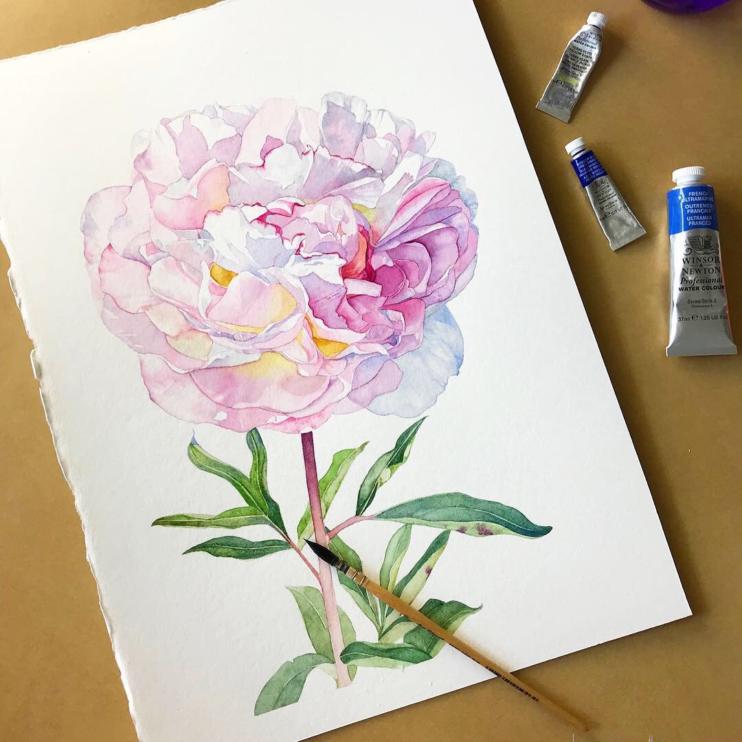 Staining and Non-Staining Watercolours — Louise De Masi Watercolour Artist