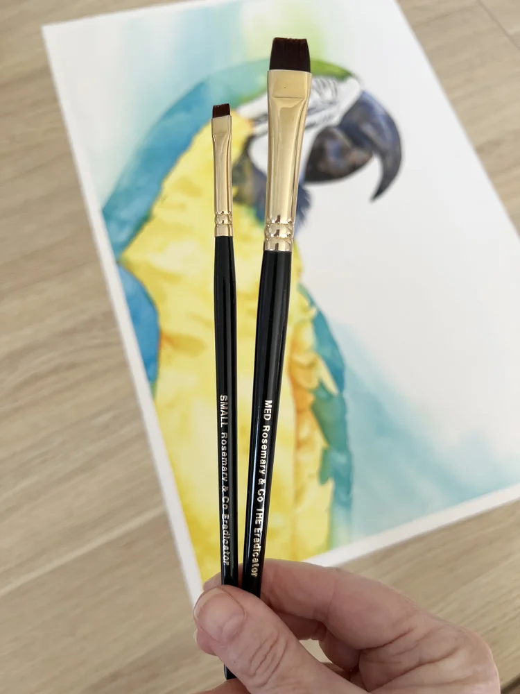 Lifting Techniques in Watercolour — Louise De Masi Watercolour Artist