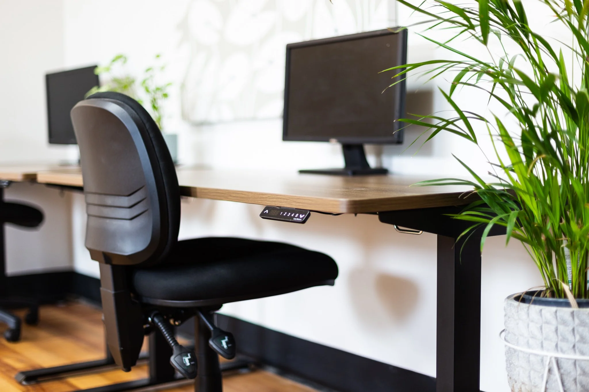 Desk for Rent — mâché