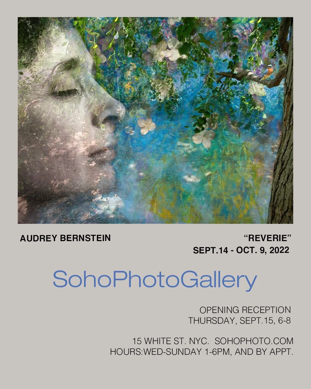 Reverie - New Work by Audrey Bernstein - SohoPhotoGallery — Audrey S ...