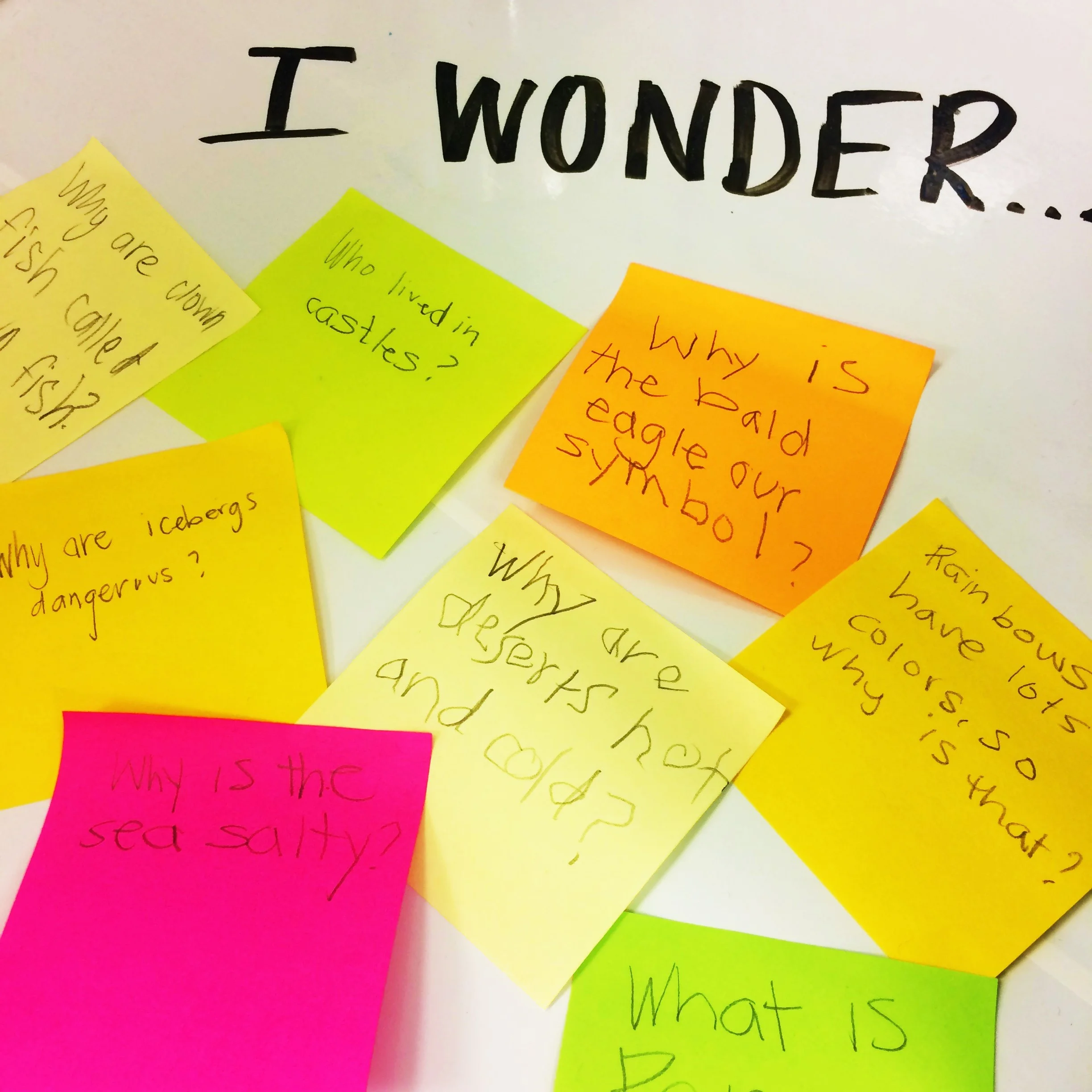 Passion Projects For Primary Students Passion Projects For Primary Students