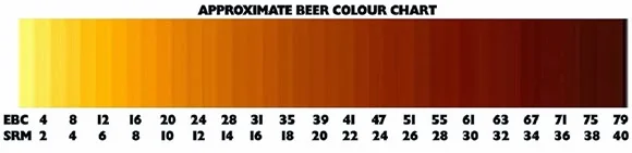 SRM vs. EBC — Under the Jenfluence |Beer Education Made Easy