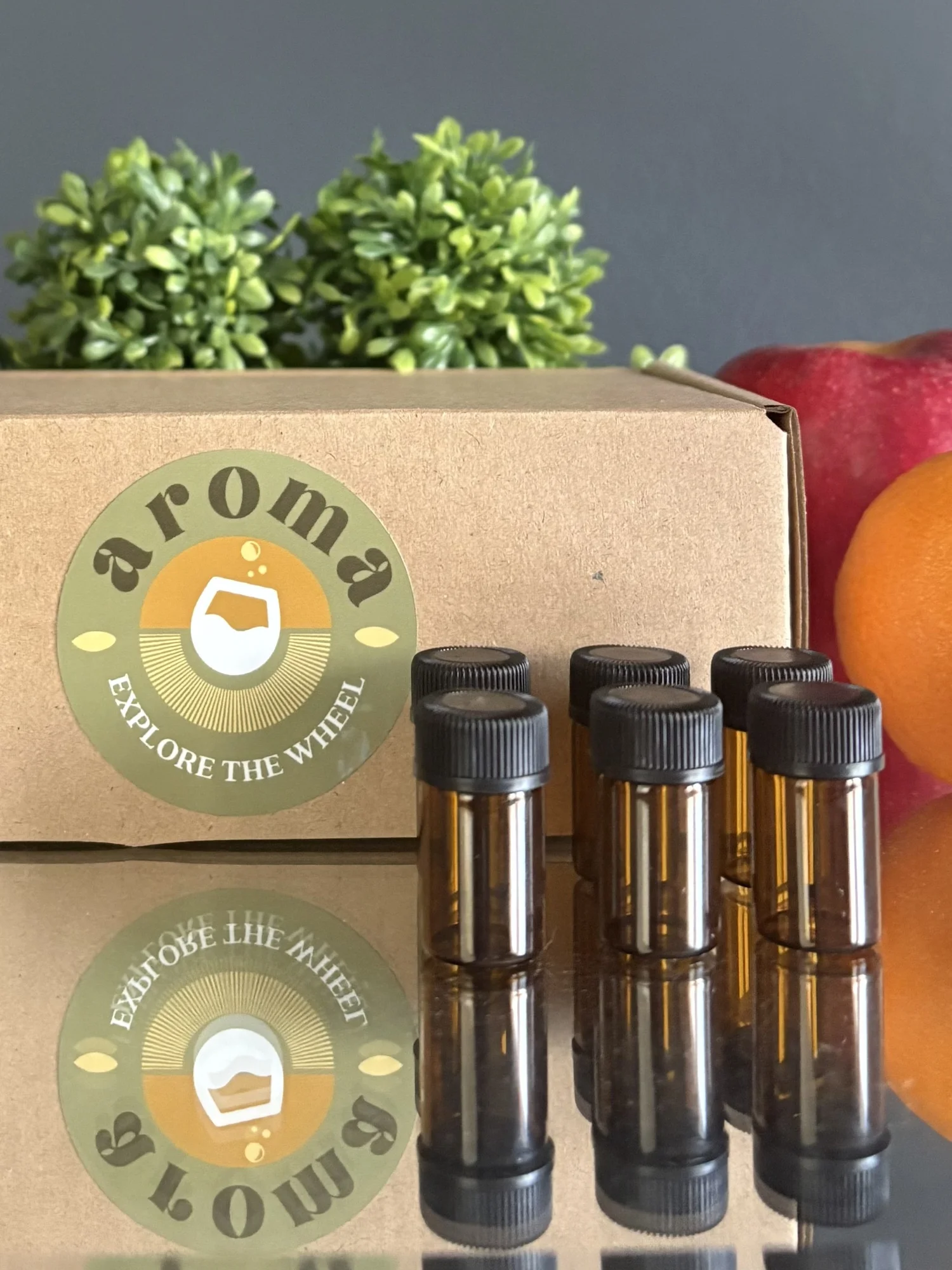 Aroma: Explore the Wheel Beer Master Kit — Under the Jenfluence |Beer ...