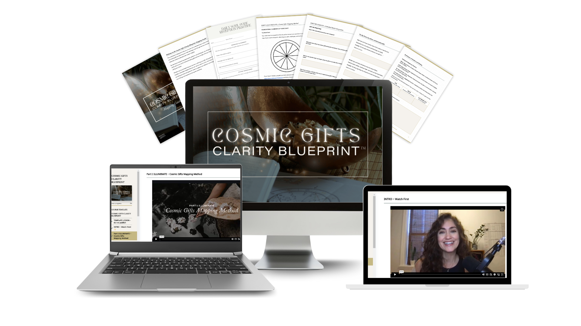 SOUL ALCHEMIST — Wildly Rooted