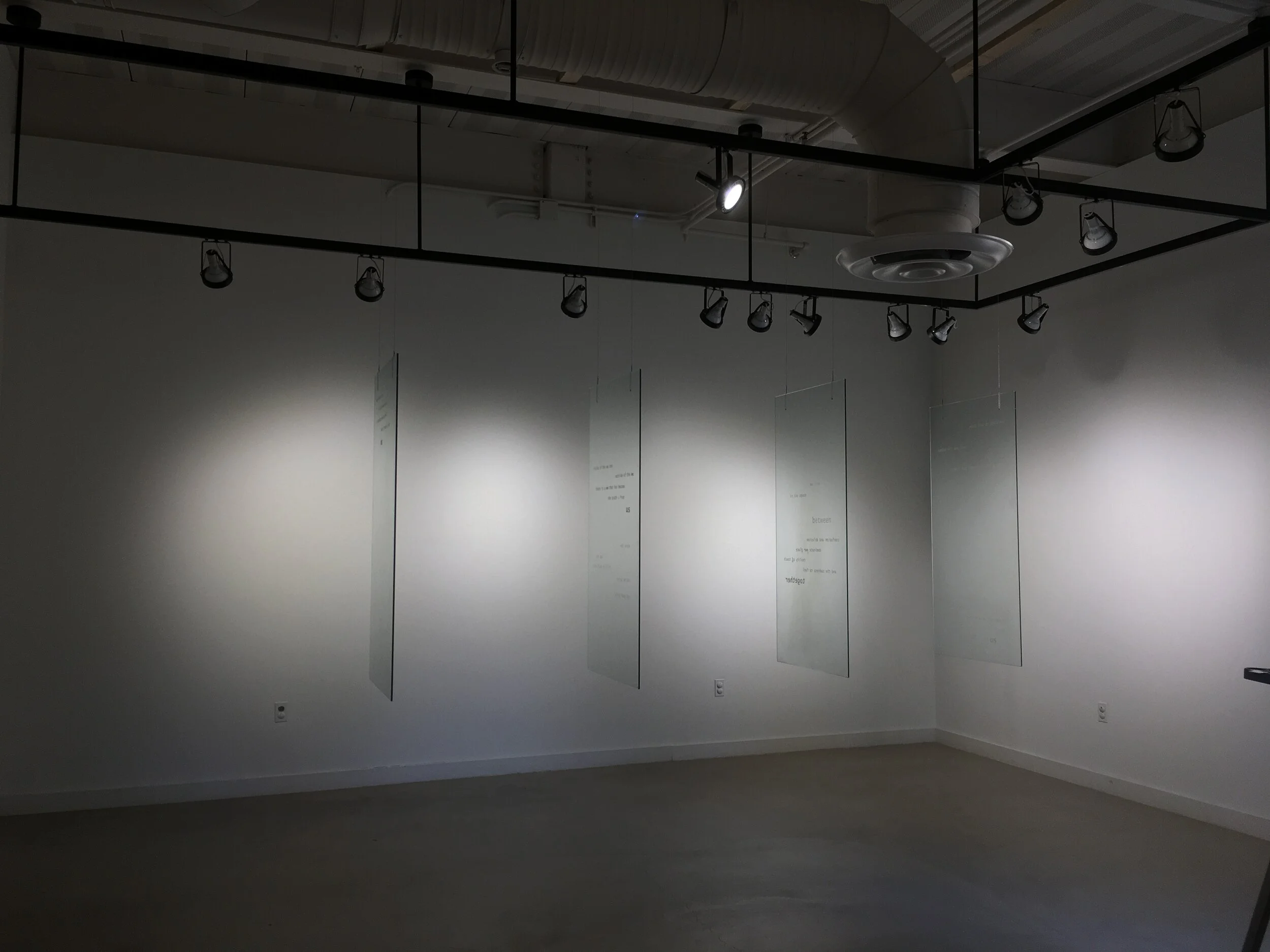 Installation / Projection — Joanne Steinhardt