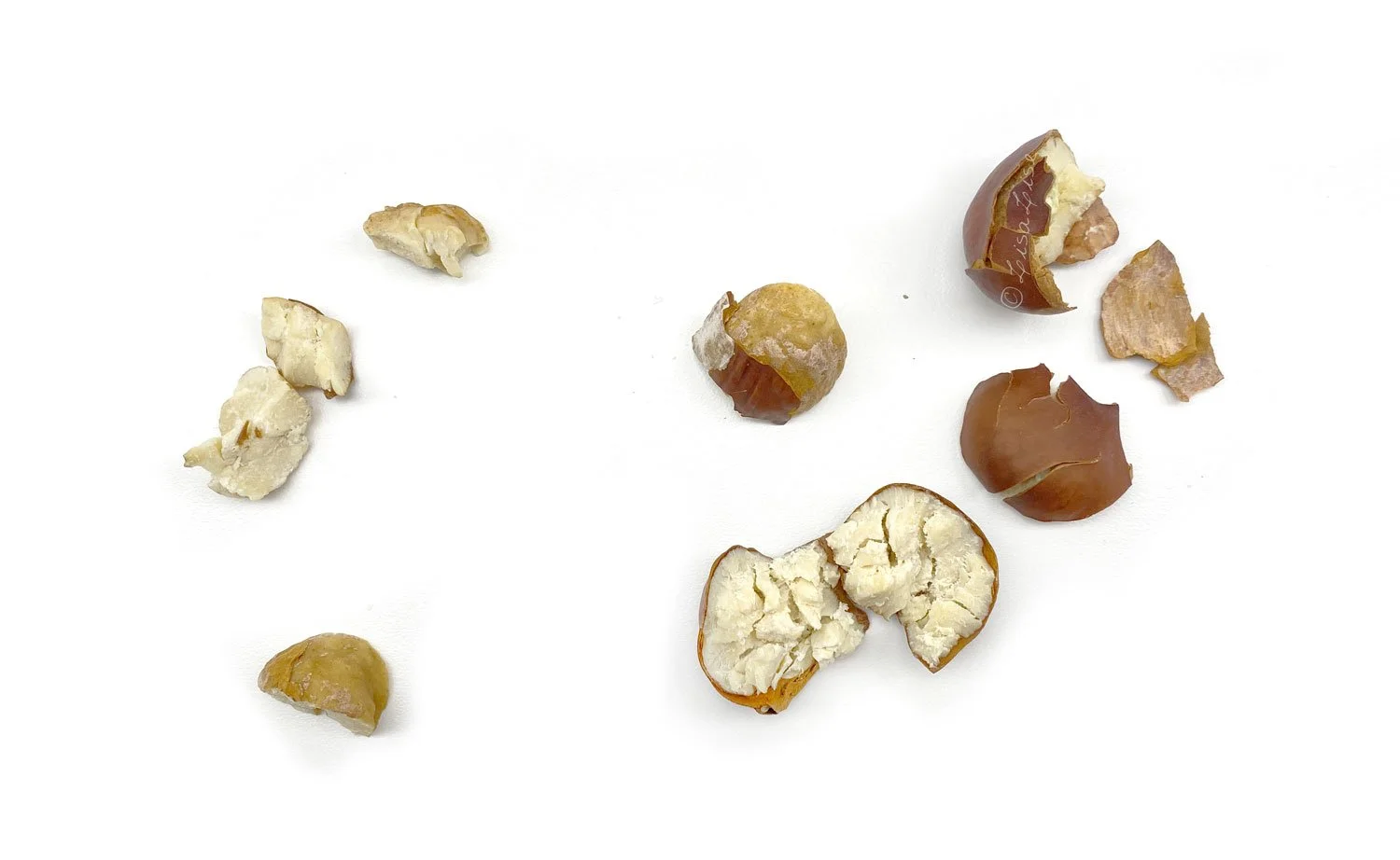 How to Make Conkers Powder — LisaLise Pure Natural Skincare