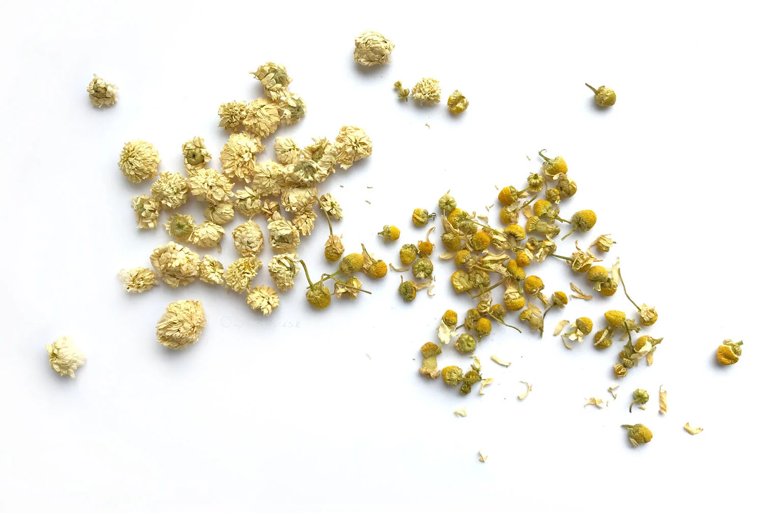 The Scents of Chamomile — LisaLise Pure Natural Skincare