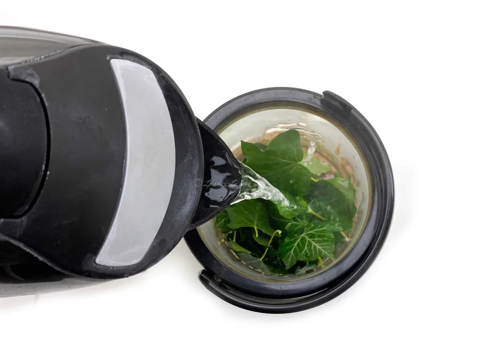 How to Make an Ivy Leaf Hair Cleanser — LisaLise Pure Natural Skincare