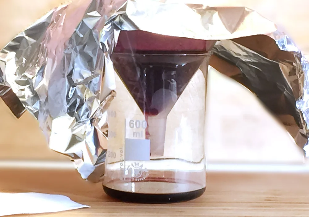 How to Make a Fresh Blueberry Glycerite — LisaLise Pure Natural Skincare