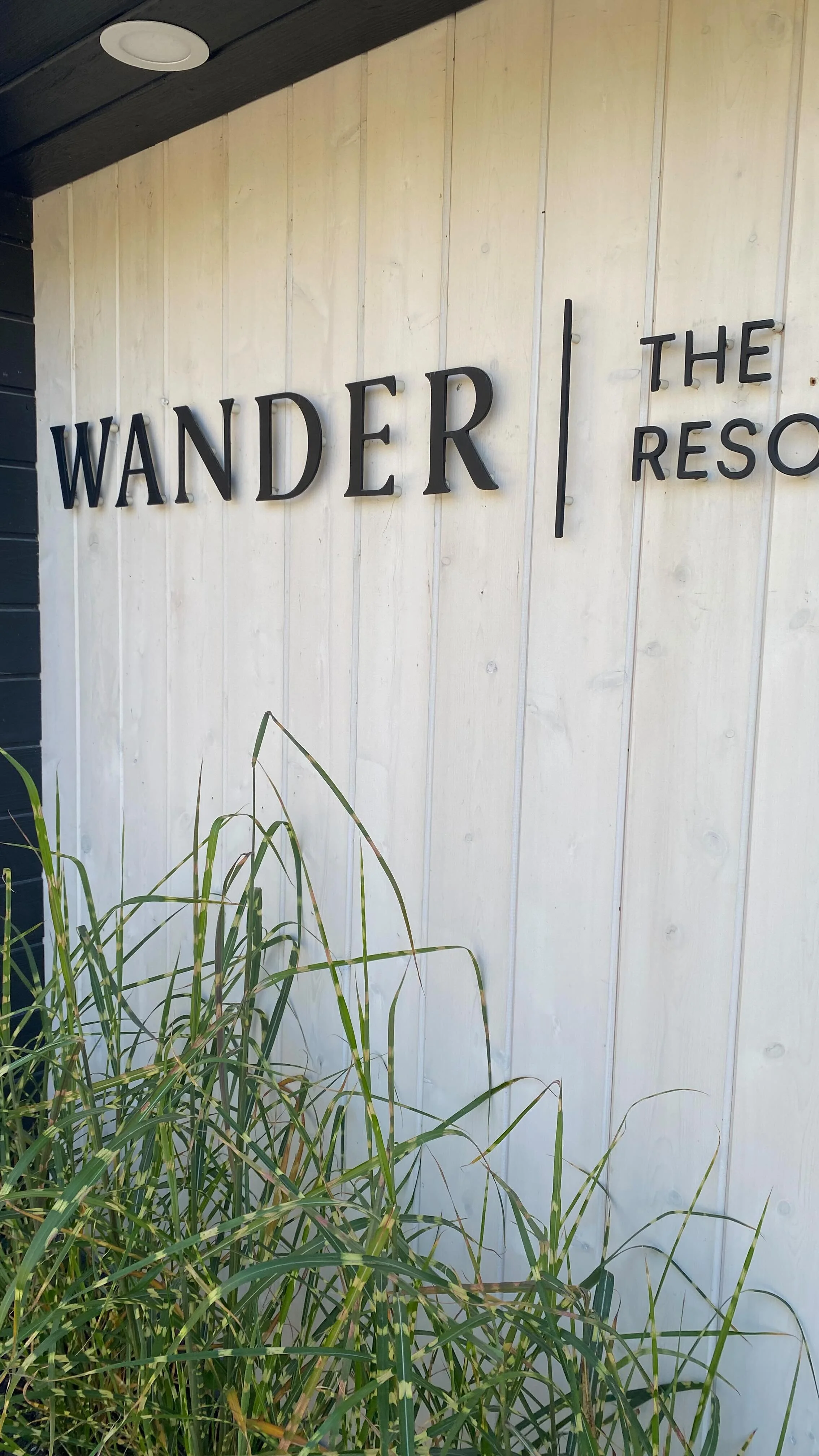 enid grace — ENID GRACE