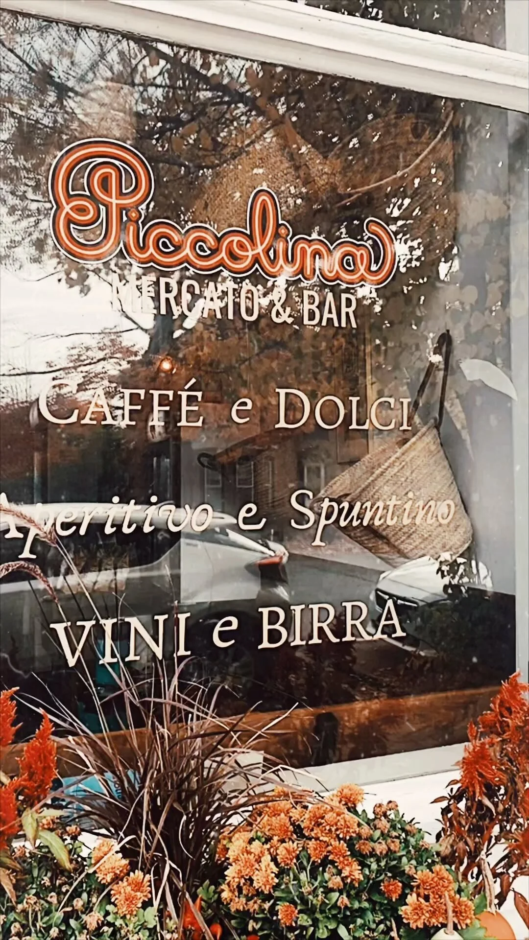 Piccolina Bar — ENID GRACE