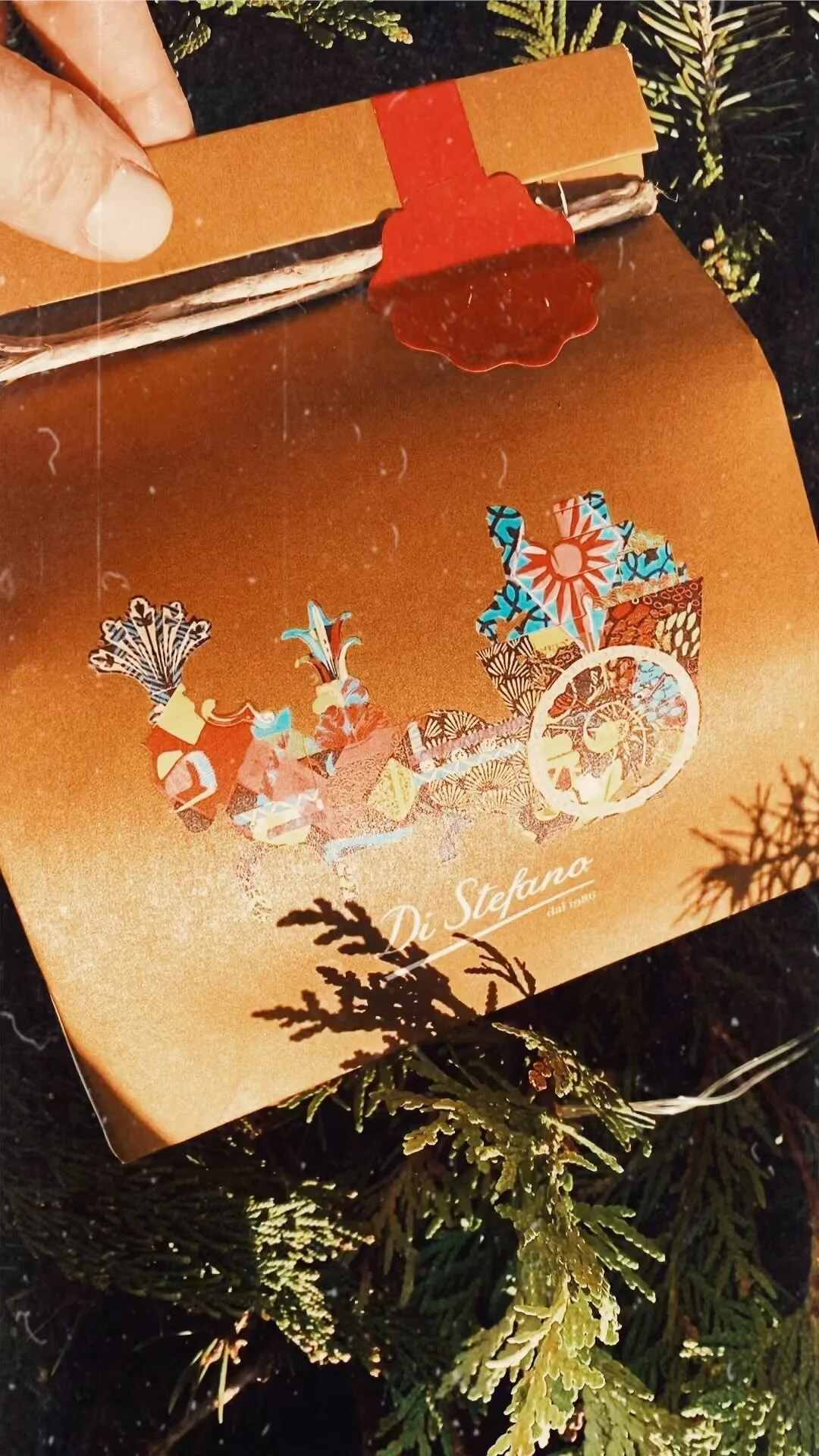 Piccolina Bar — ENID GRACE