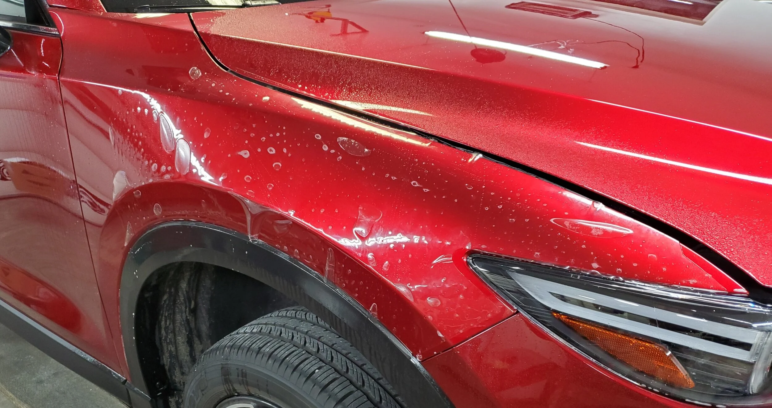 Paint Protection Film — GRAPHICS AND GLASS