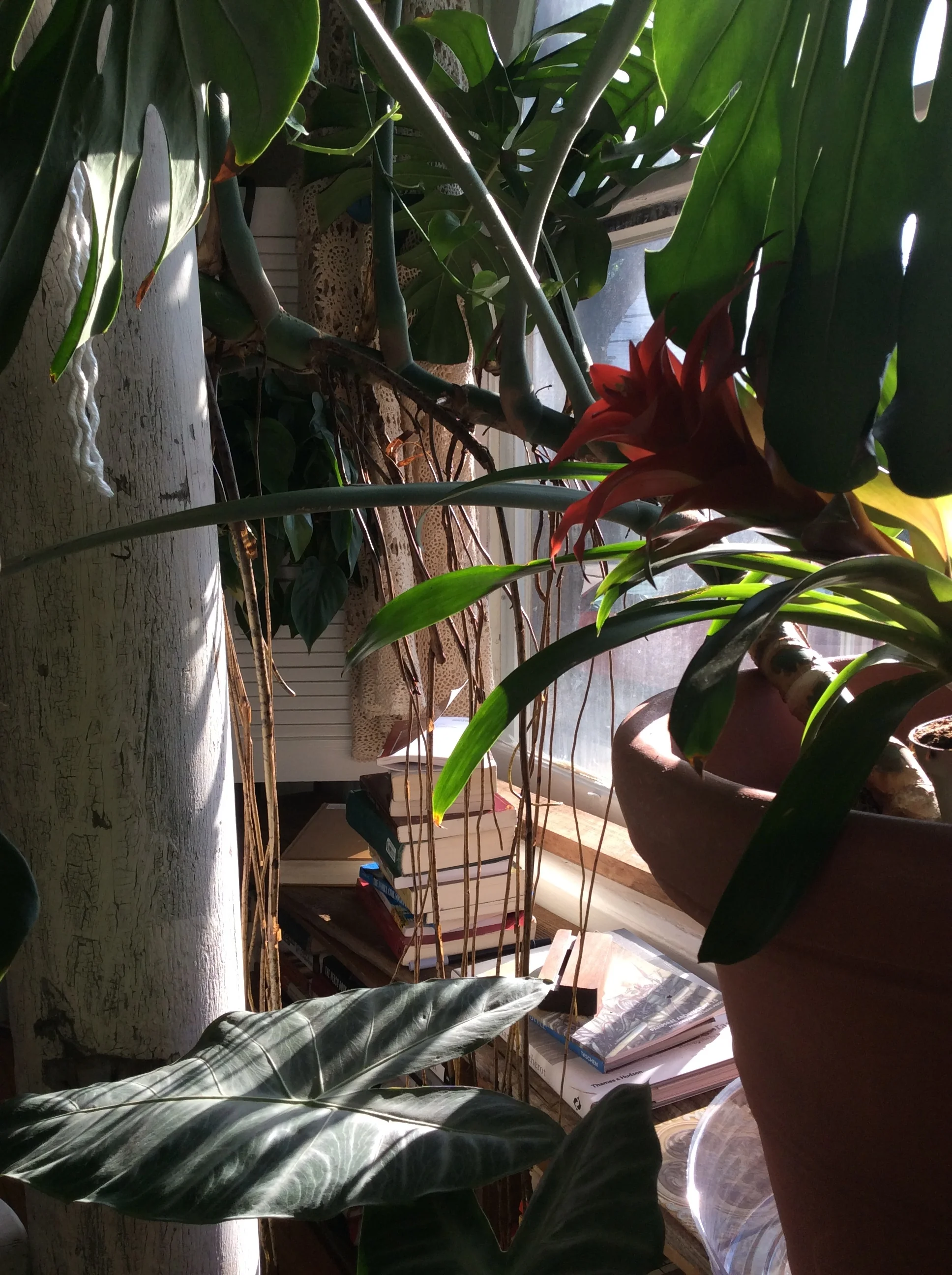 Jungle Rooms — Decoding Labs