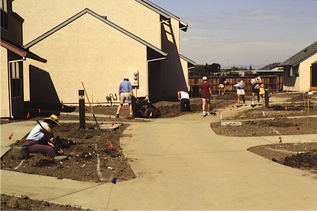 THE BEST OF BOTH WORLDS: THE PROMISE OF COHOUSING — THE COHOUSING COMPANY