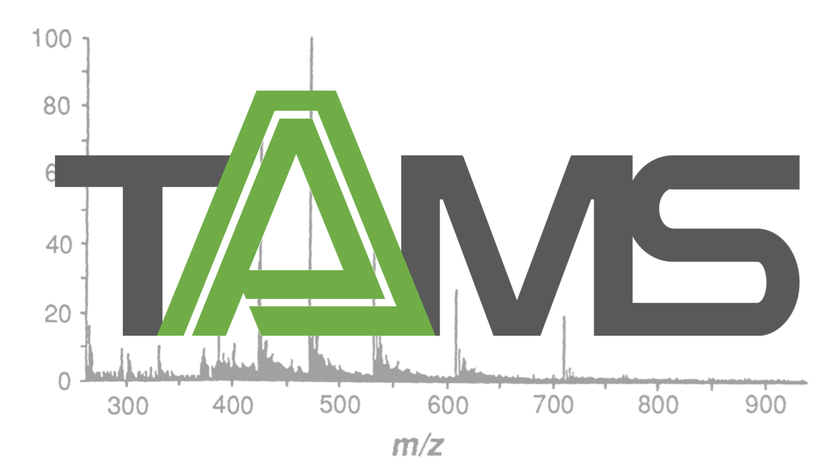 Tams Logo