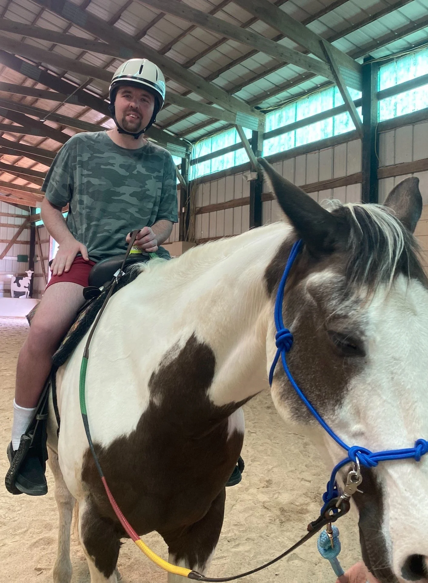 Equestrian — Safe Haven Farms