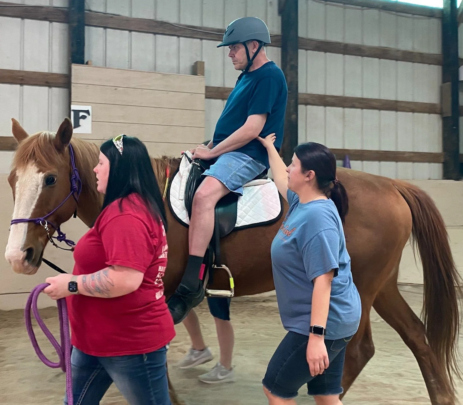 Equestrian — Safe Haven Farms