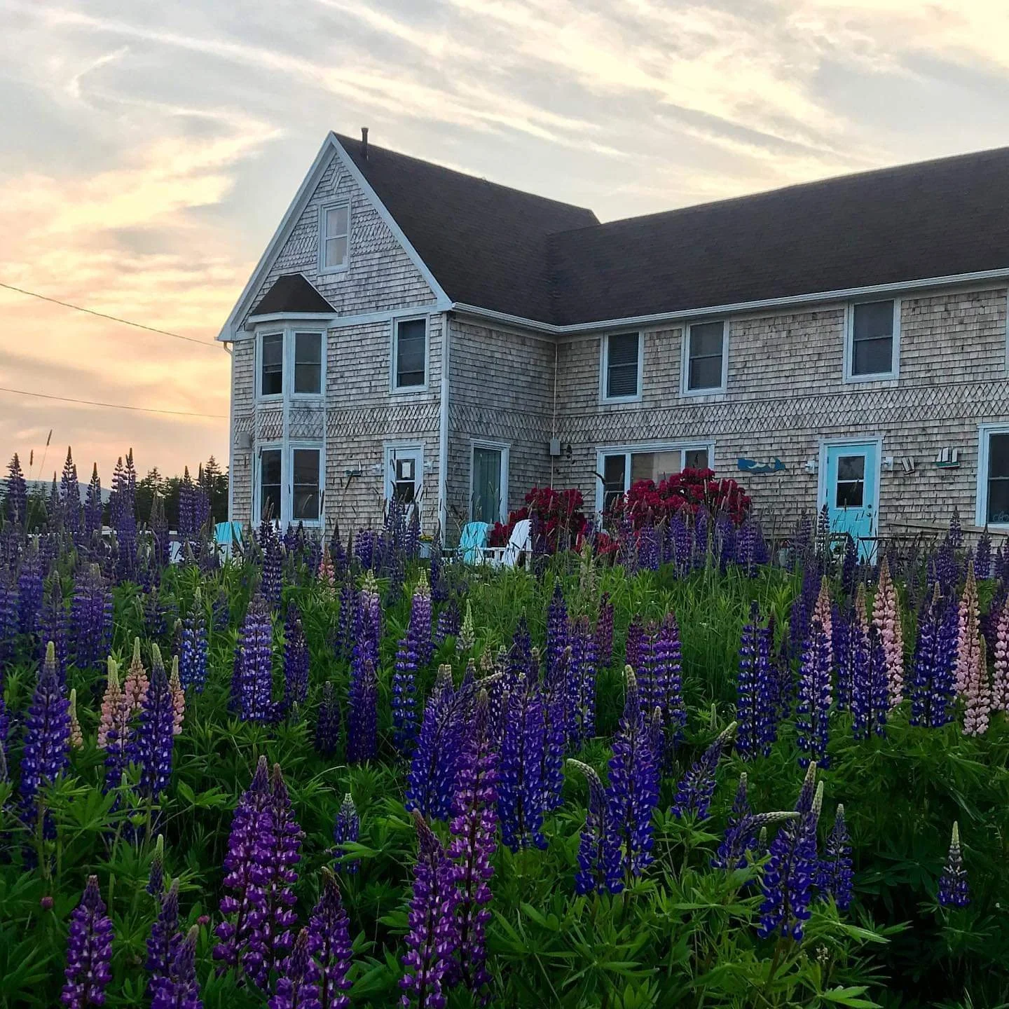 EAT. SHOP. SLEEP. — Salty Rose's & the Periwinkle Cafe