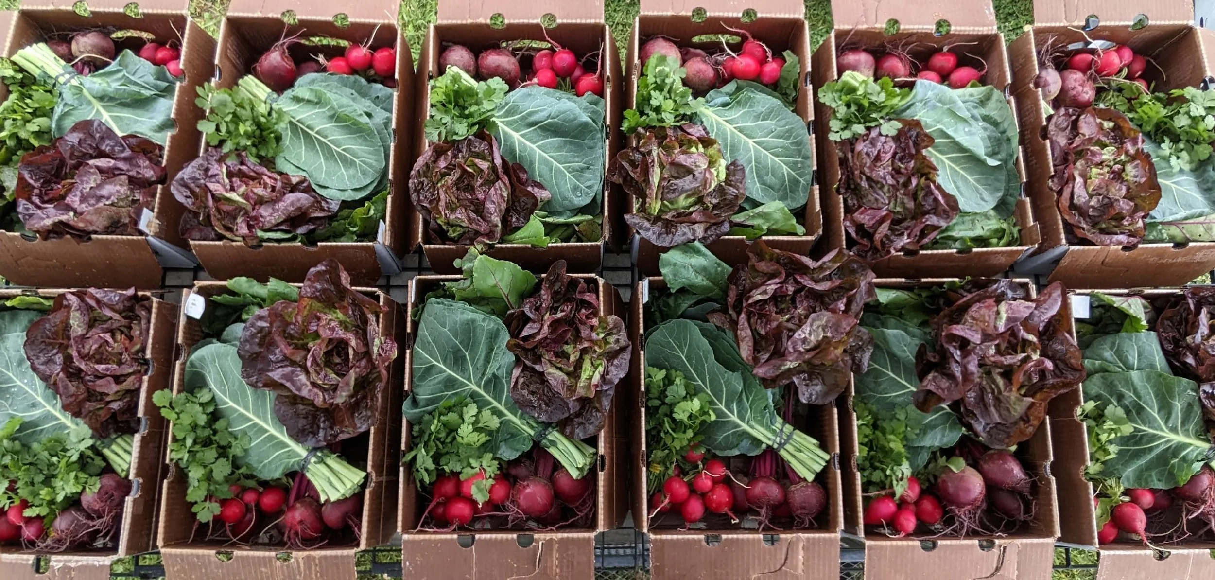 Mighty Market — Mighty Gnome Market Garden