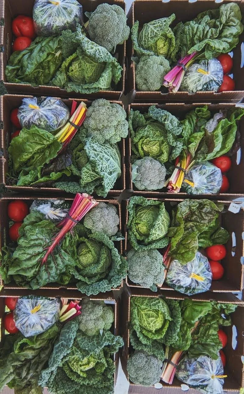 Mighty Market — Mighty Gnome Market Garden