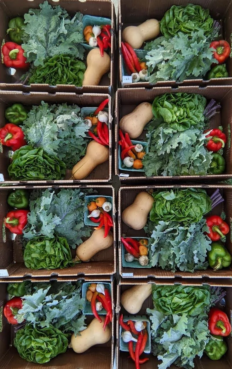 Mighty Market — Mighty Gnome Market Garden