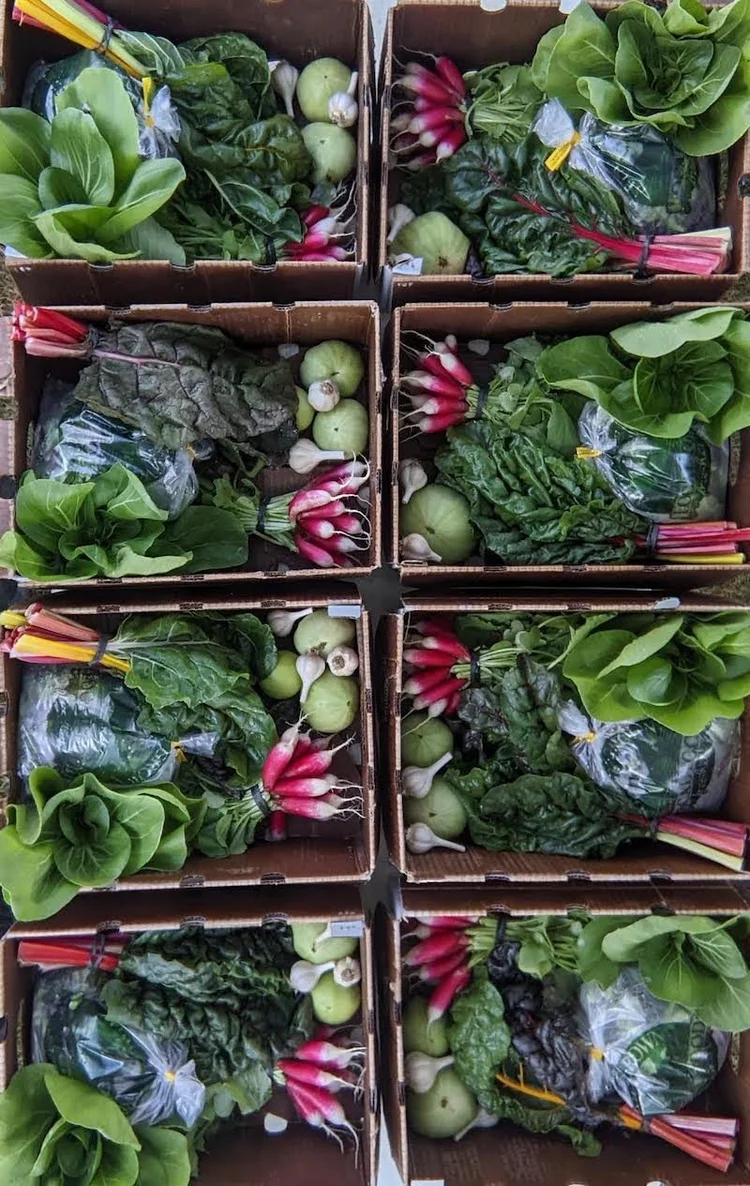 Mighty Market — Mighty Gnome Market Garden