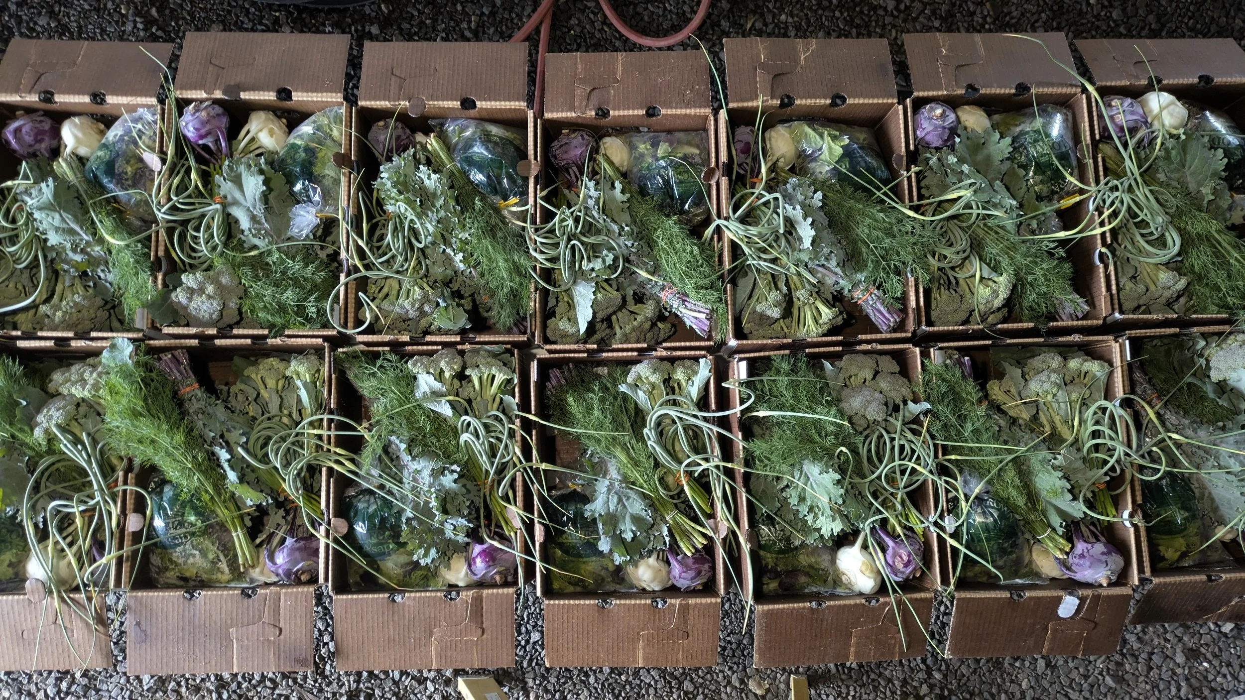 Mighty Market — Mighty Gnome Market Garden