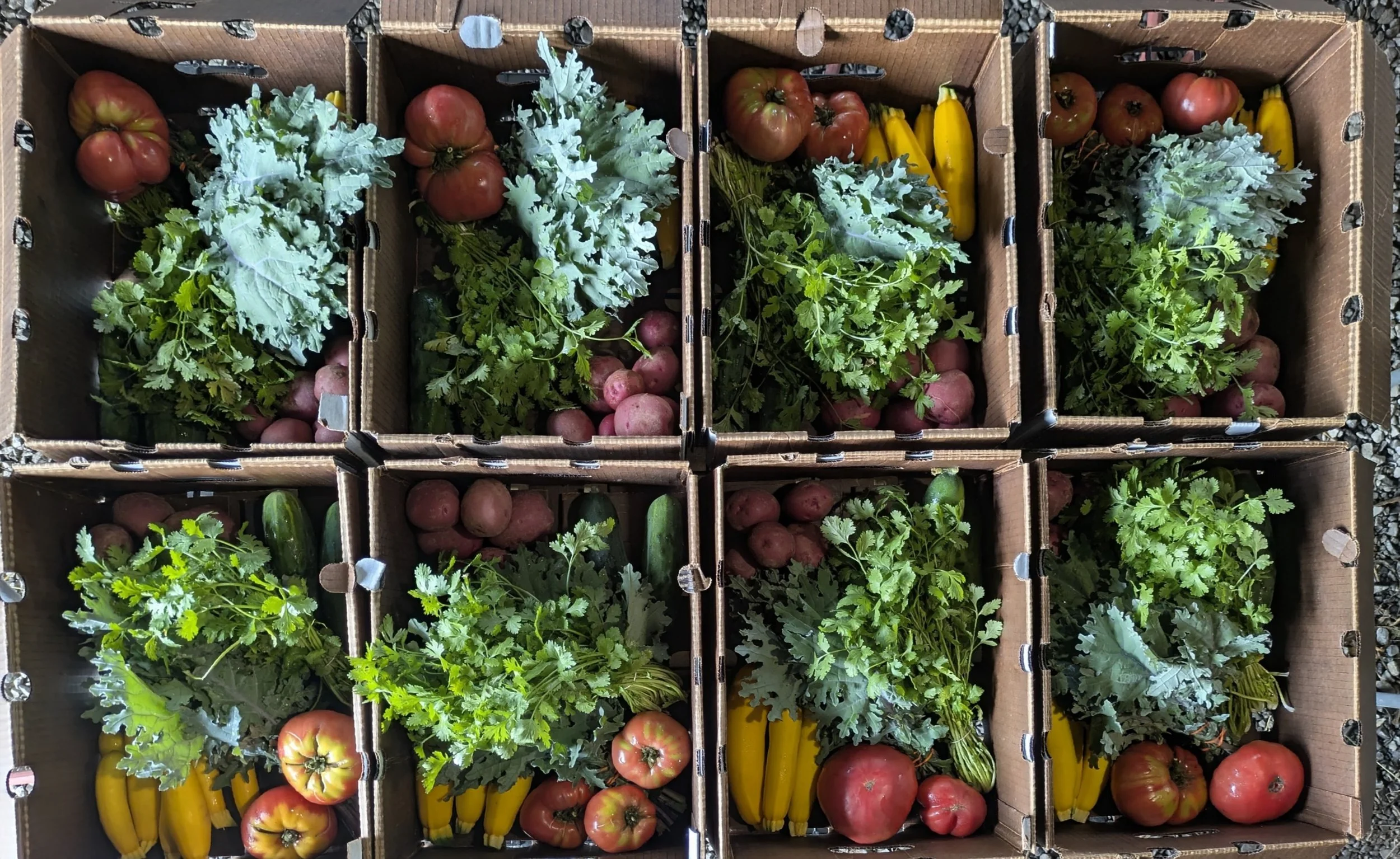 Mighty Market — Mighty Gnome Market Garden