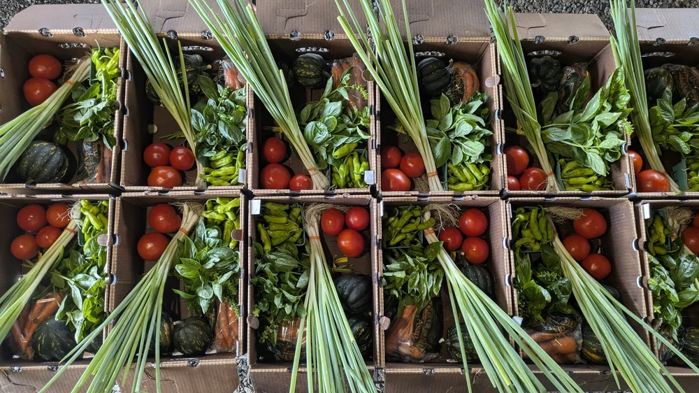 Mighty Market — Mighty Gnome Market Garden