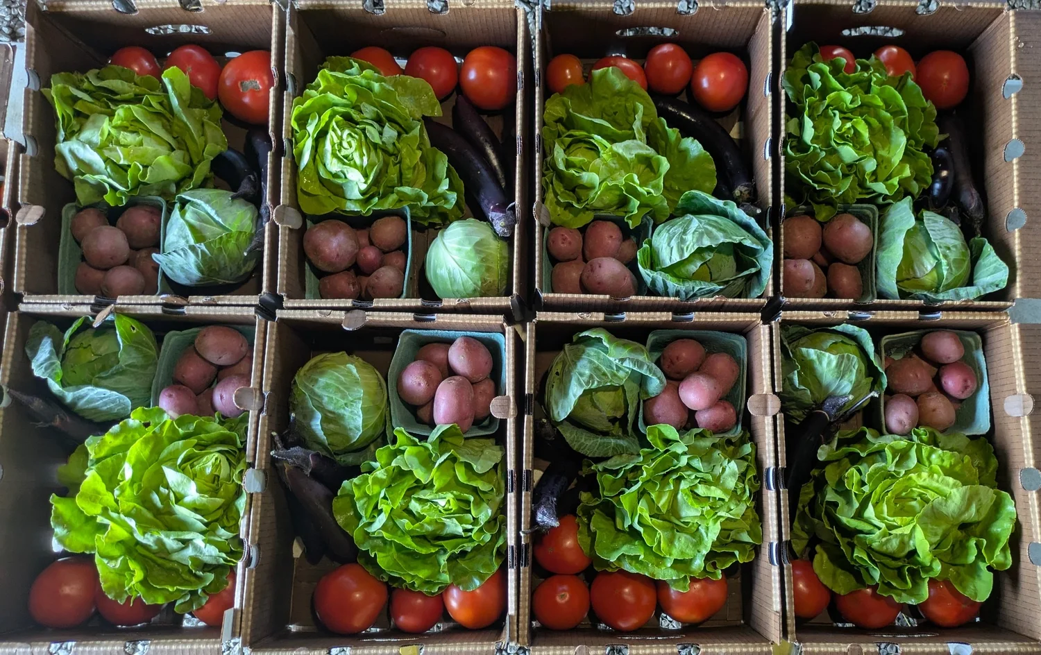 Mighty Market — Mighty Gnome Market Garden