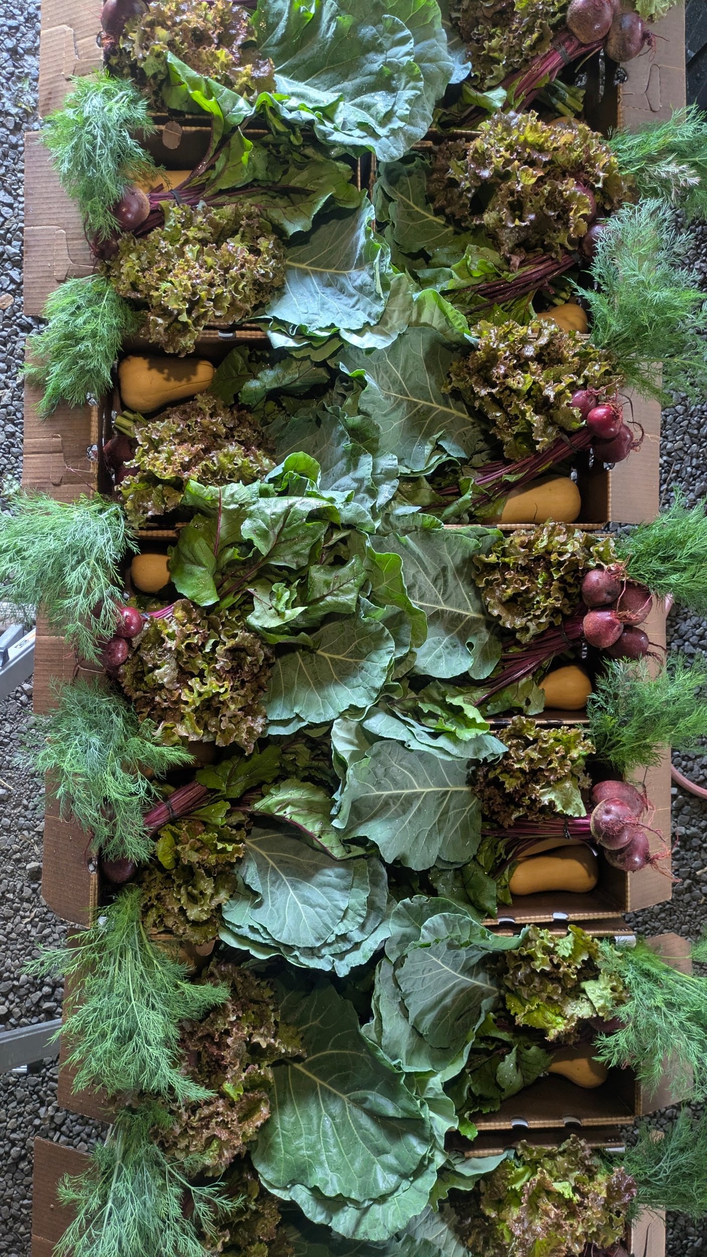 Mighty Market — Mighty Gnome Market Garden