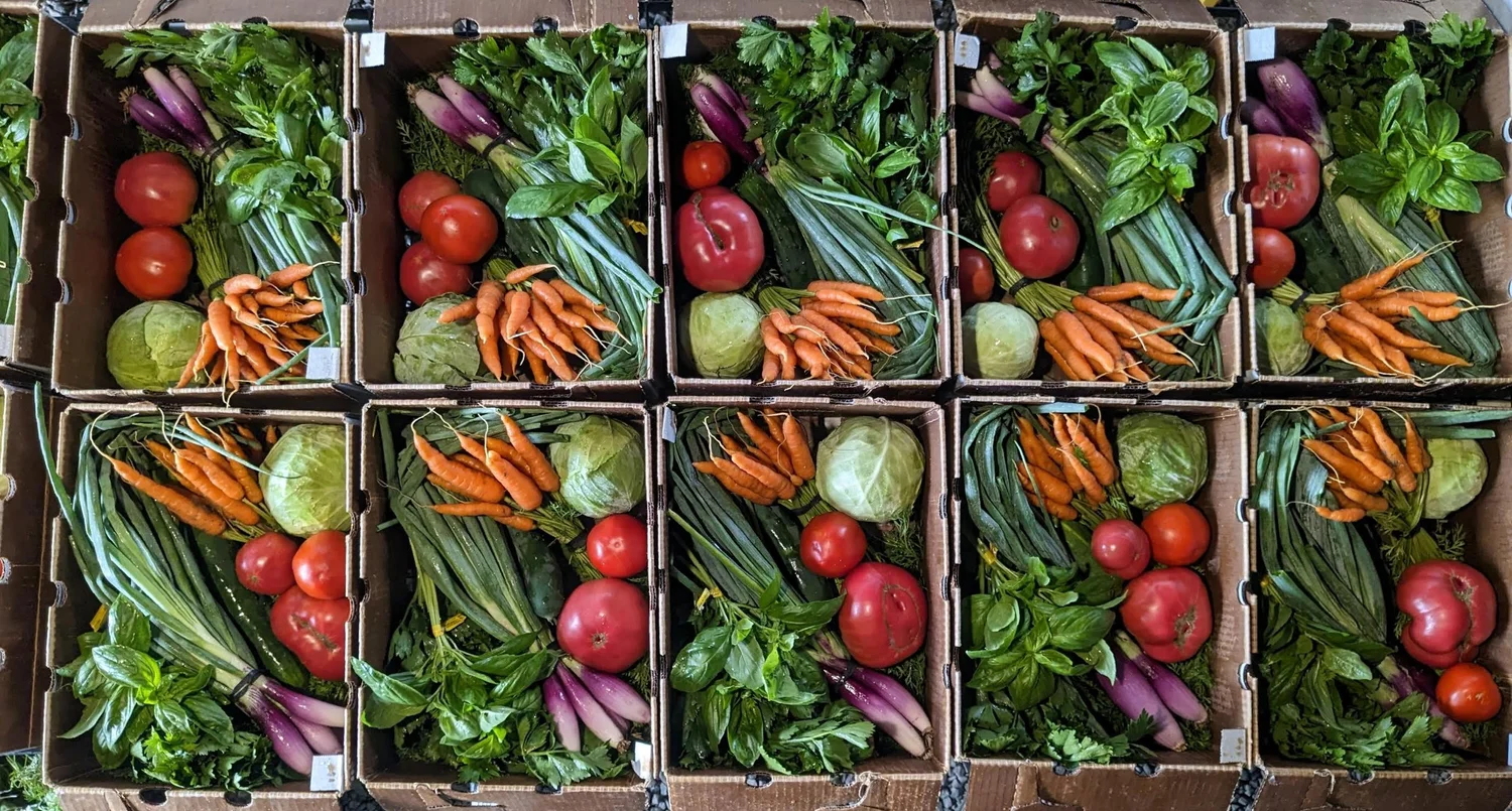 Mighty Market — Mighty Gnome Market Garden