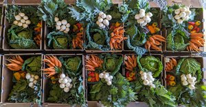 Mighty Market — Mighty Gnome Market Garden