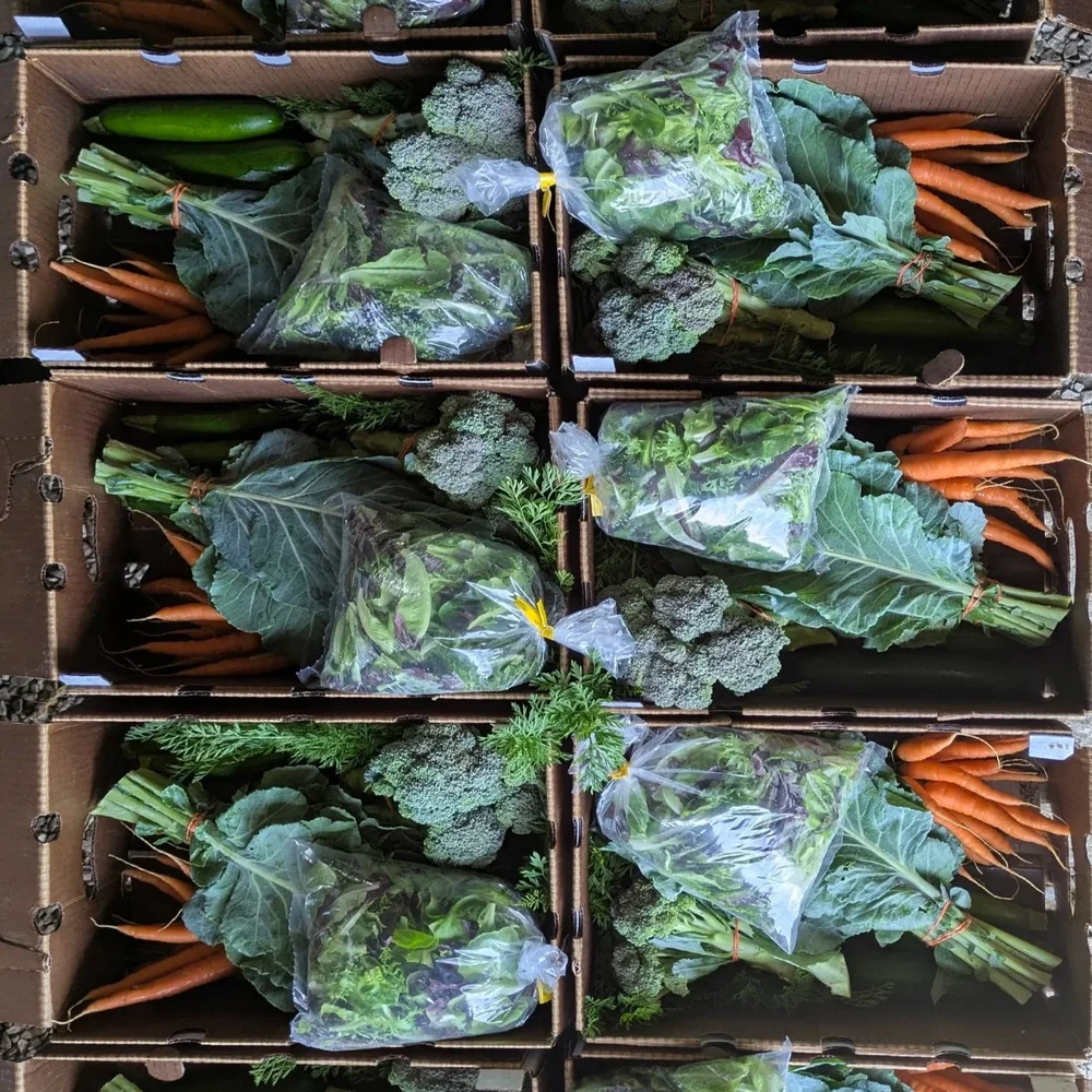 Mighty Market — Mighty Gnome Market Garden