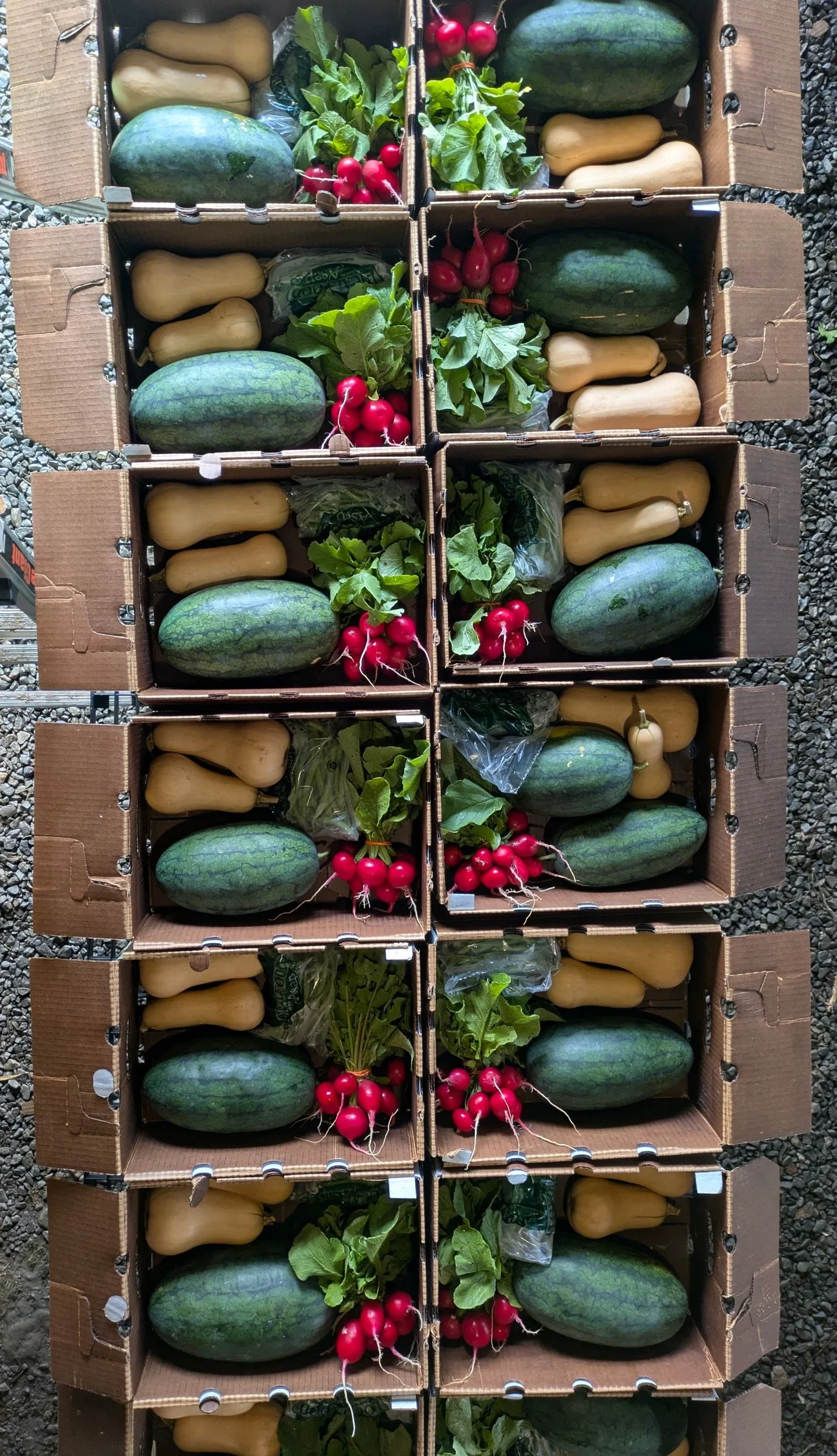 Mighty Market — Mighty Gnome Market Garden