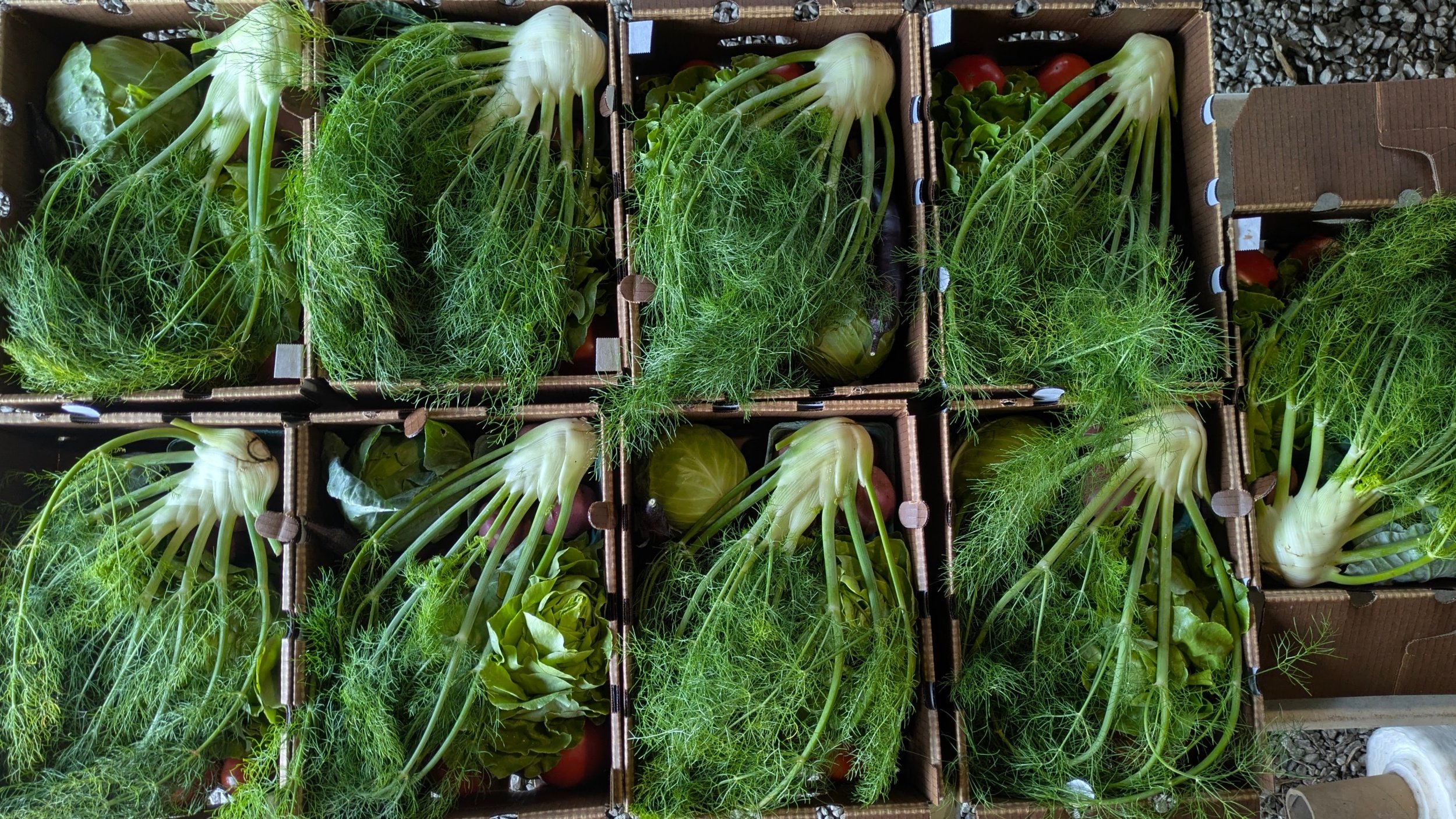 Mighty Market — Mighty Gnome Market Garden