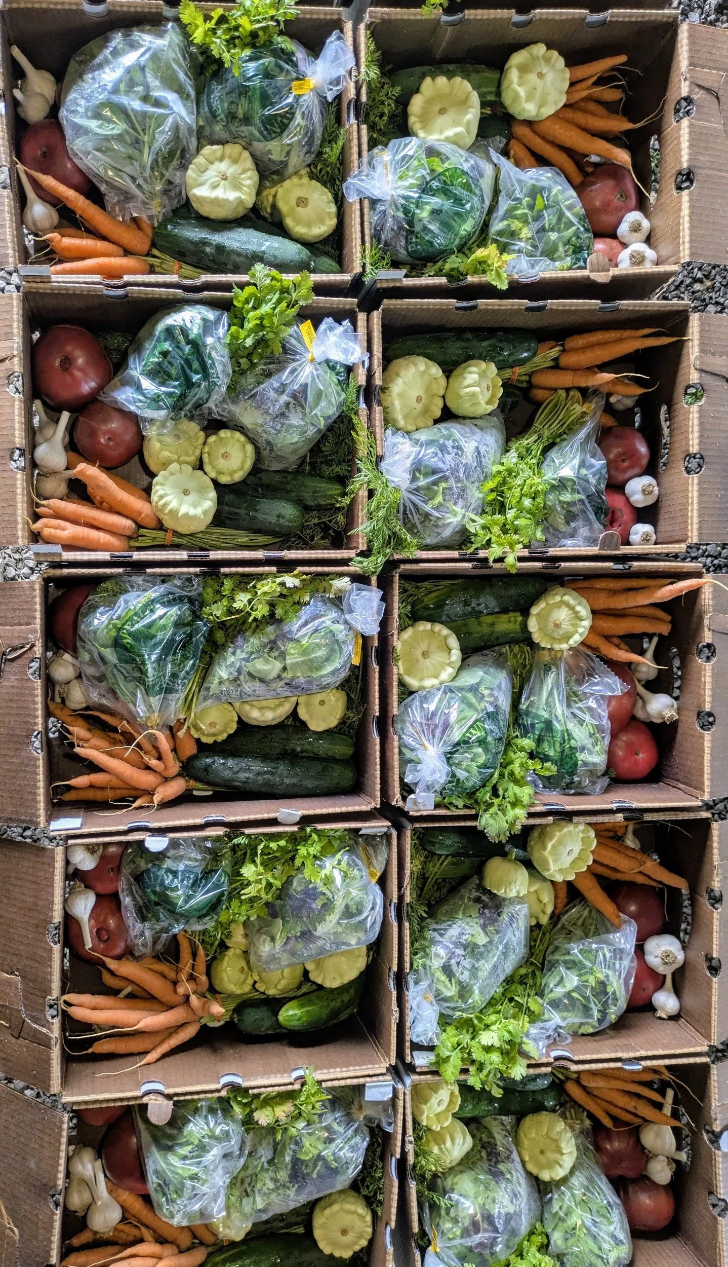 Mighty Market — Mighty Gnome Market Garden