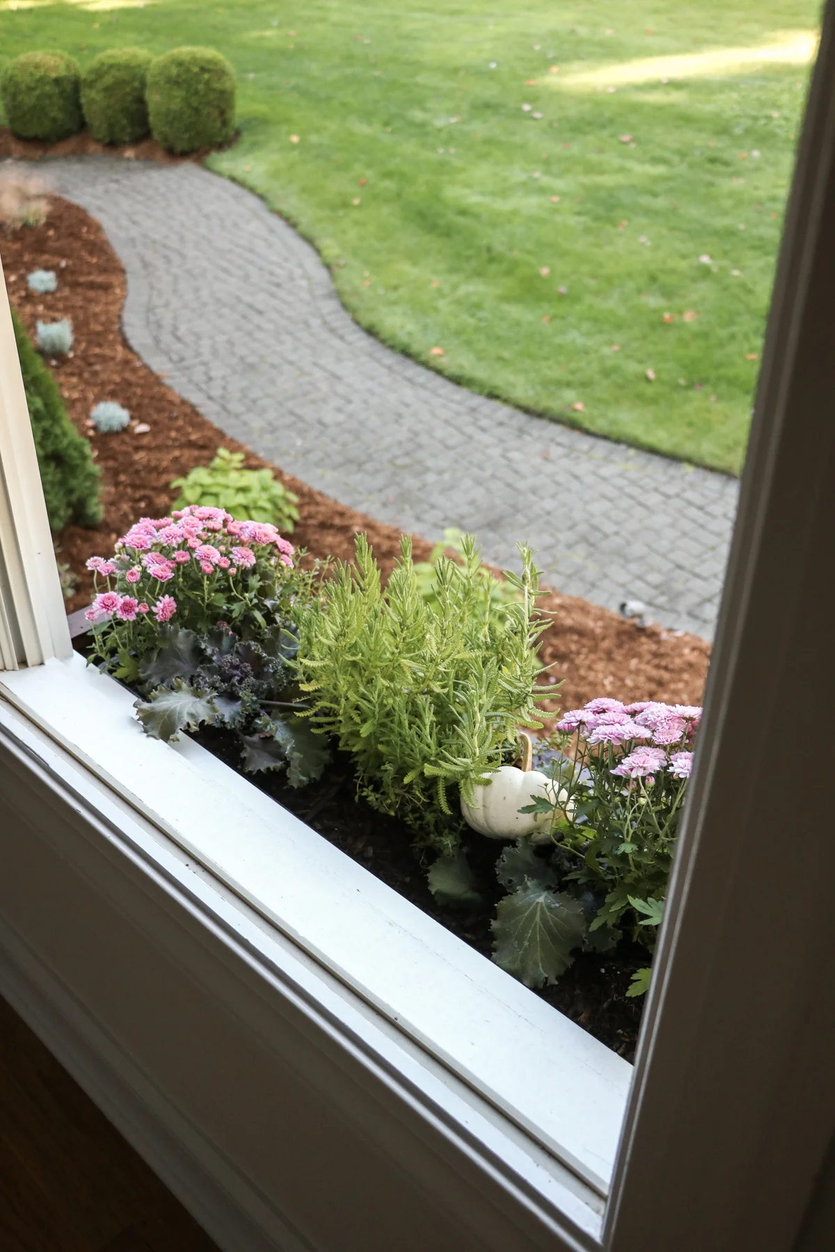 Our Homemade Window Boxes — Root and Dwell