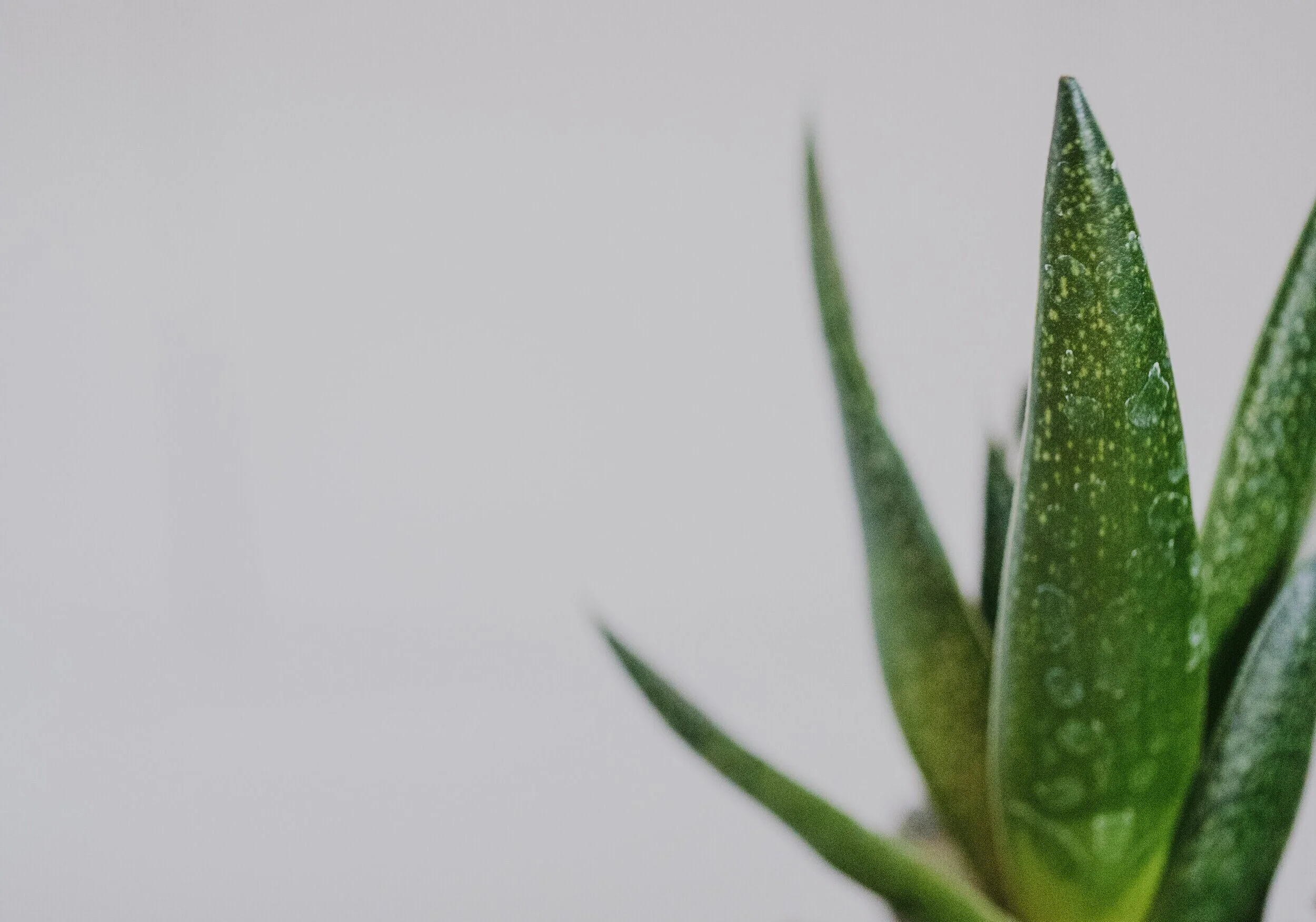 Secha Capital - Growth Equity Fund - Operator-Investors: Secha is a ...