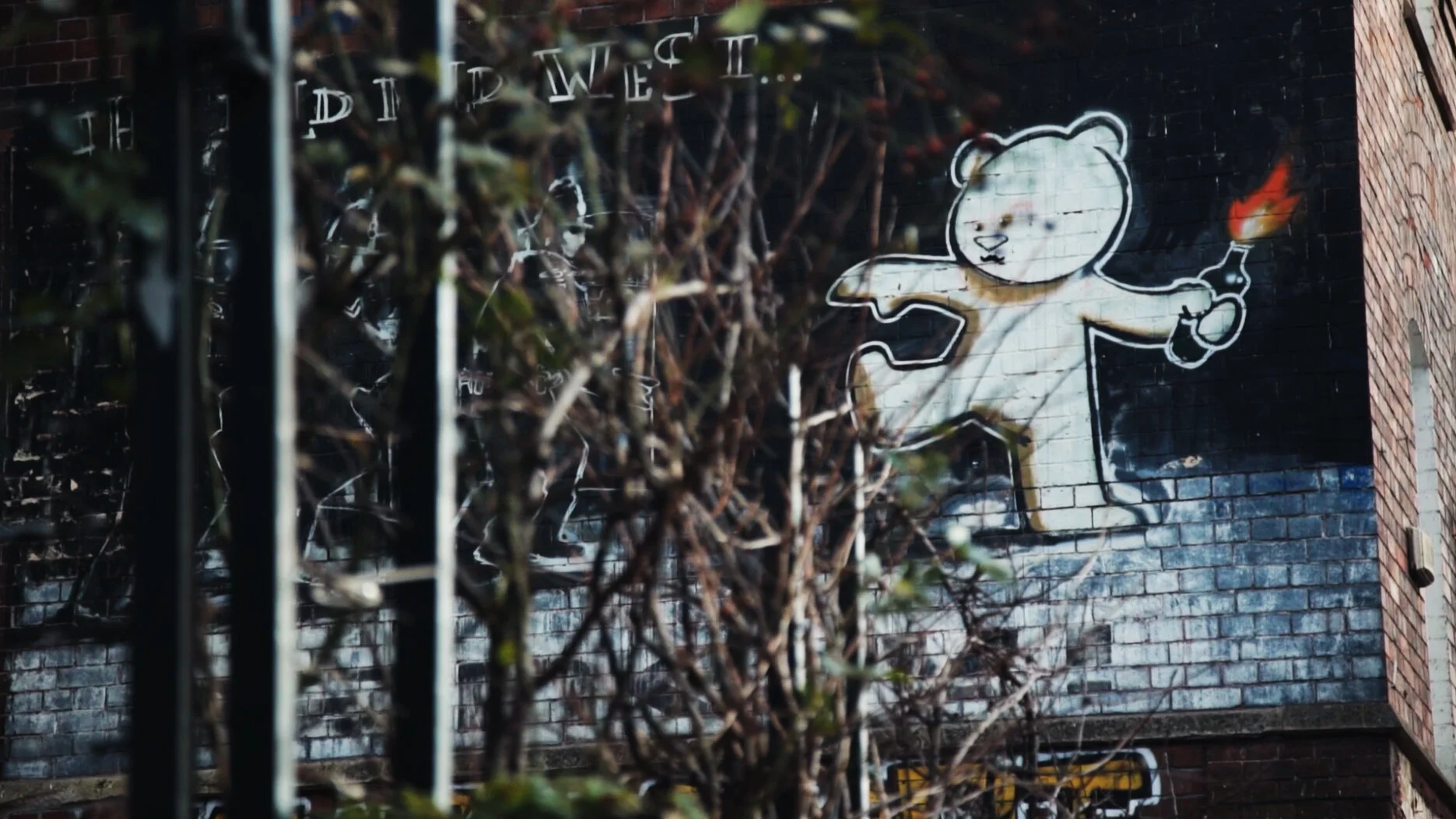 About Black Bark Films — BLACK BARK FILMS